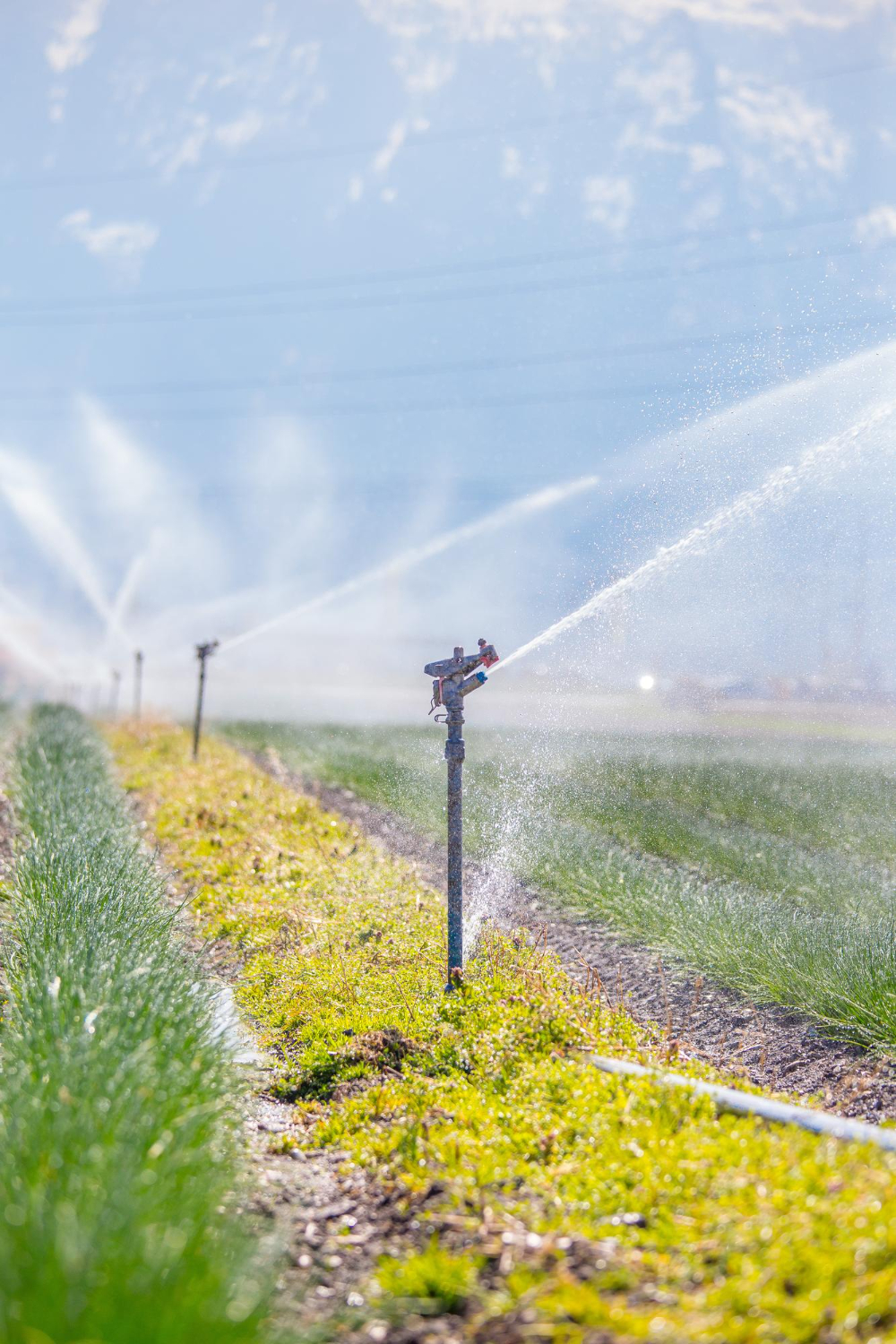 Smart Irrigation - Phoenix Water Solutions